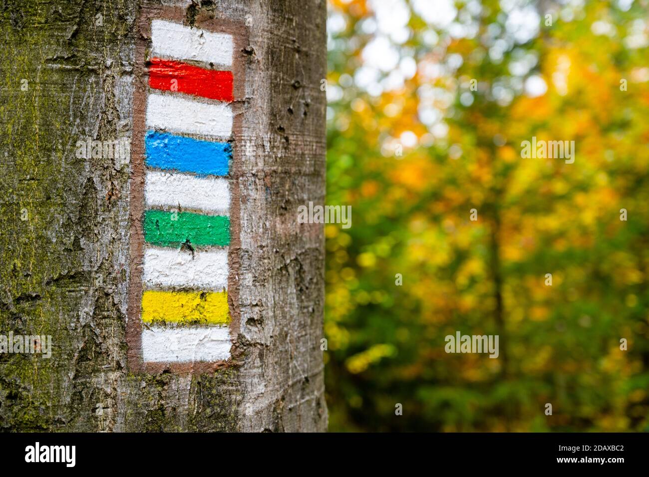 Four different colors of Czech Hiking Markers System - red, blue, green ...