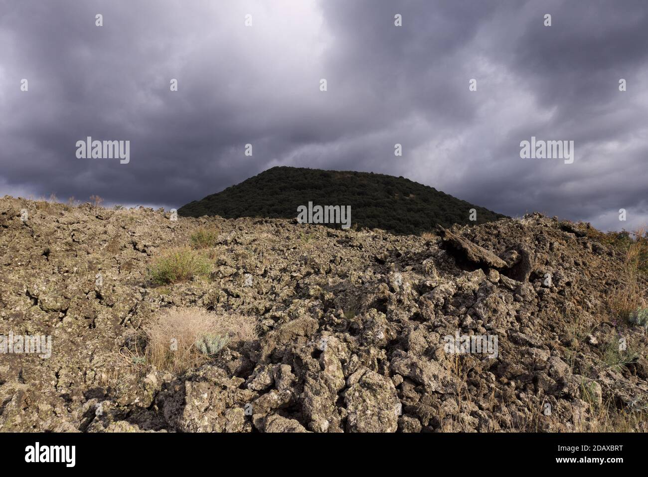 old lava cold and very old volcanic cone of lateral eruption trees ...