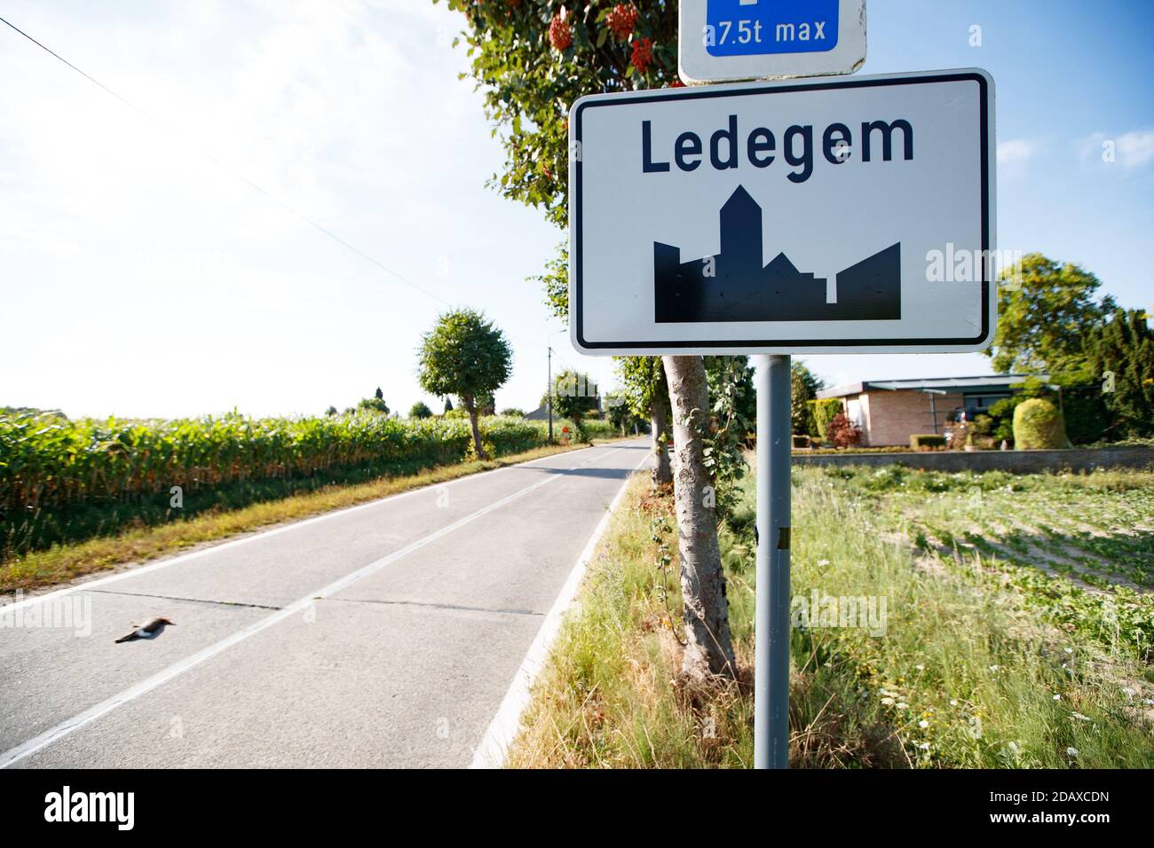 Illustration shows the name of the Ledegem municipality on a road sign ...