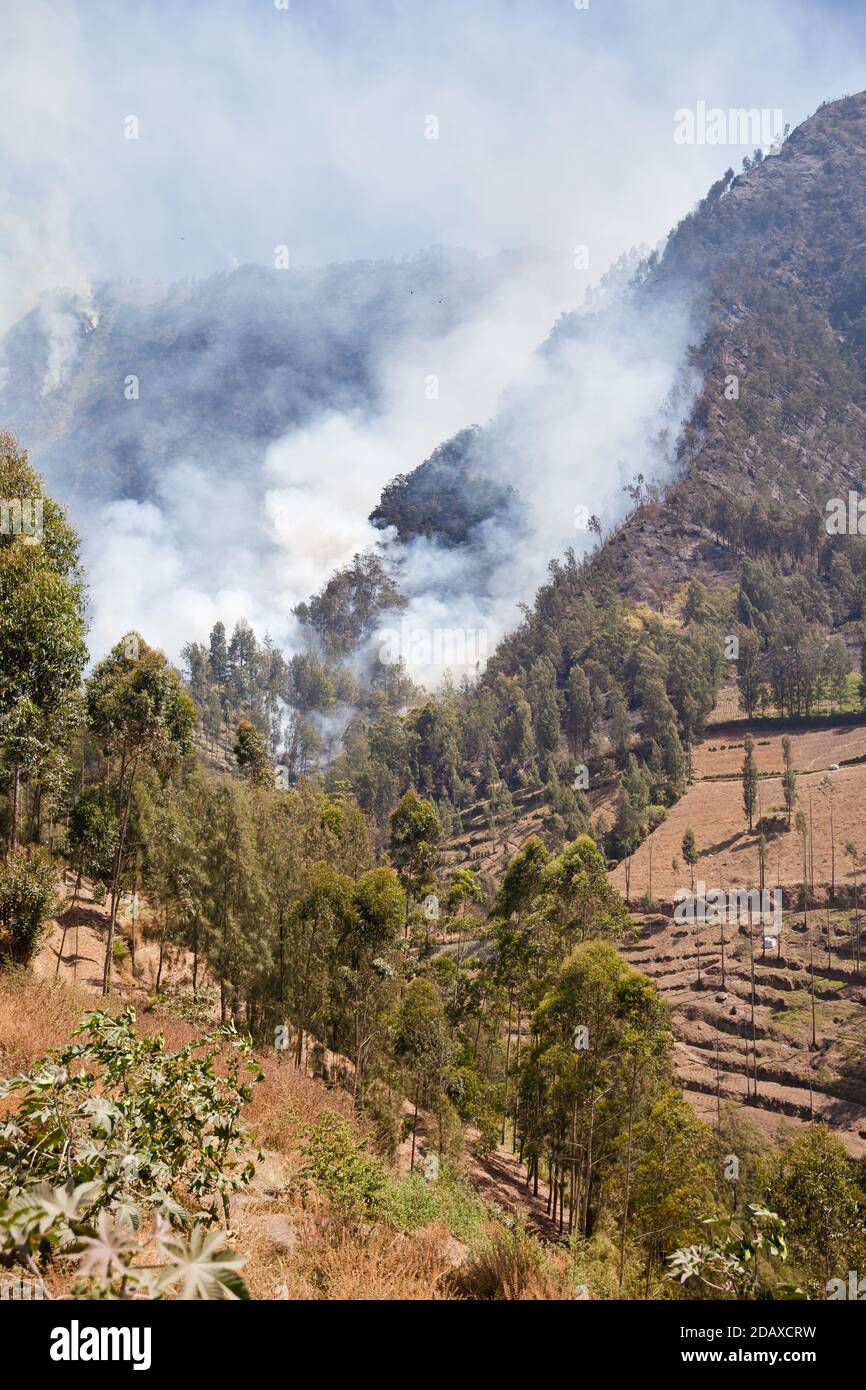 fire in mountain forest. aerial view forest fire and smoke on slopes ...