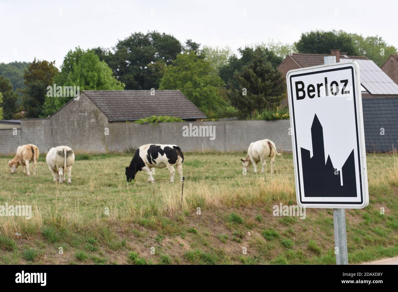 Illustration shows the name of the Berloz municipality on a road sign ...