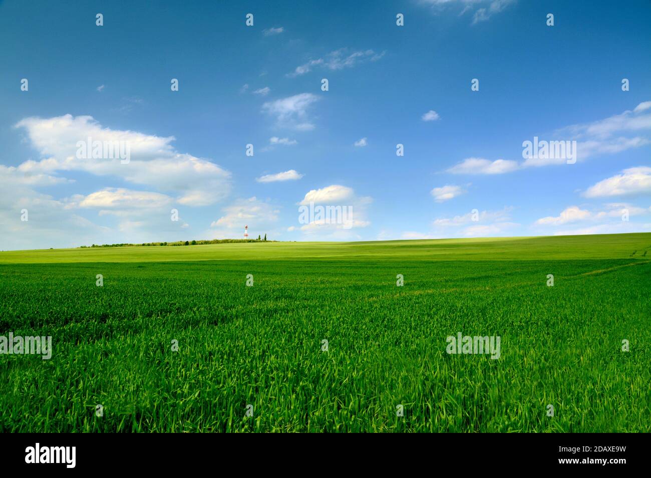 Smooth endless field with lush green grass under a cloudy sky Stock ...