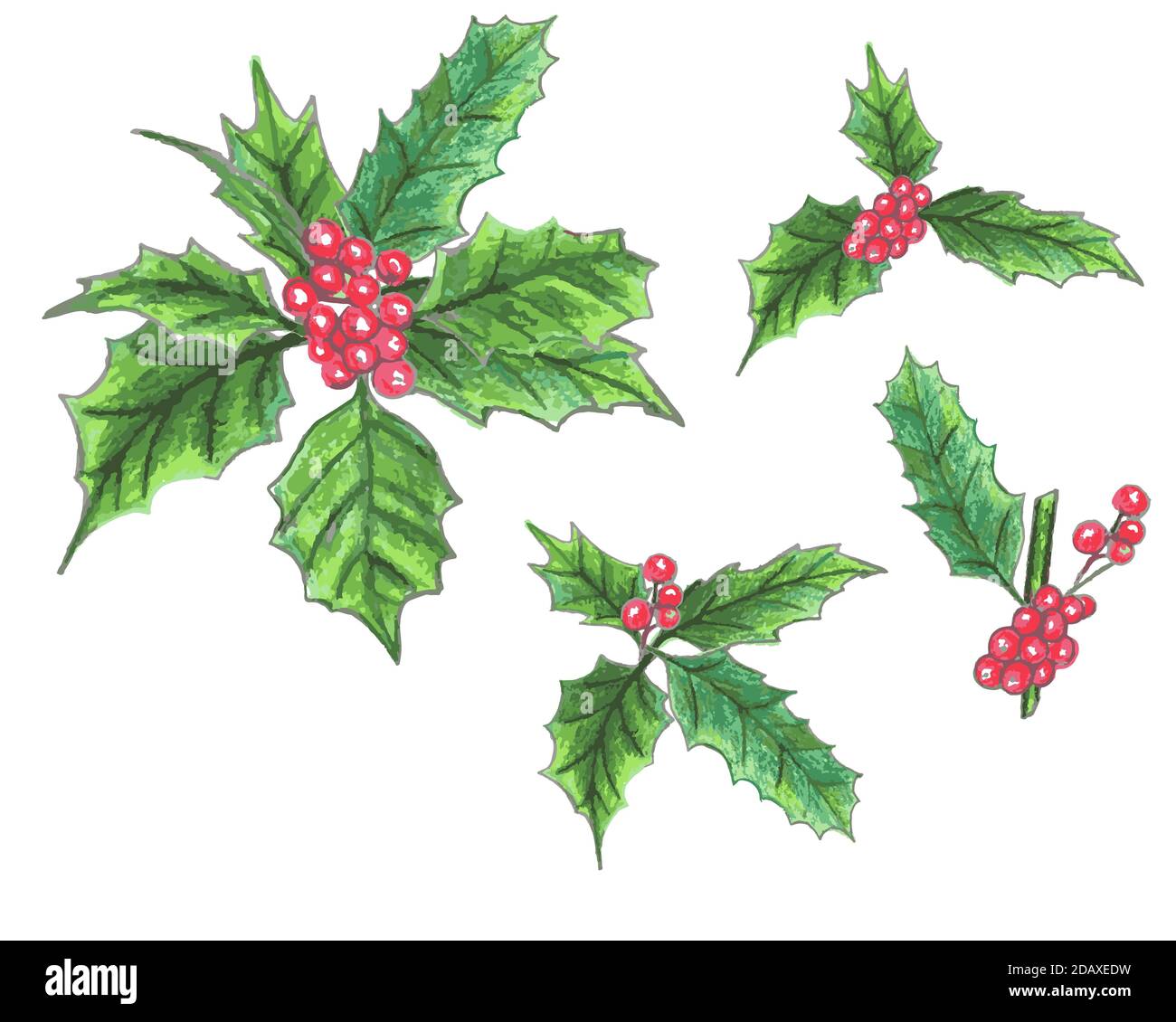 Christmas mistletoe isolated, vector design Stock Vector Image & Art ...