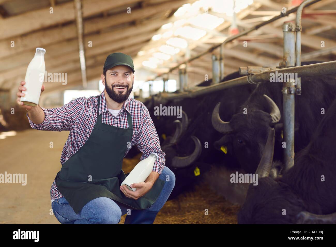 Happy farmer showing bottles of fresh natural buffalo milk manufactured ...