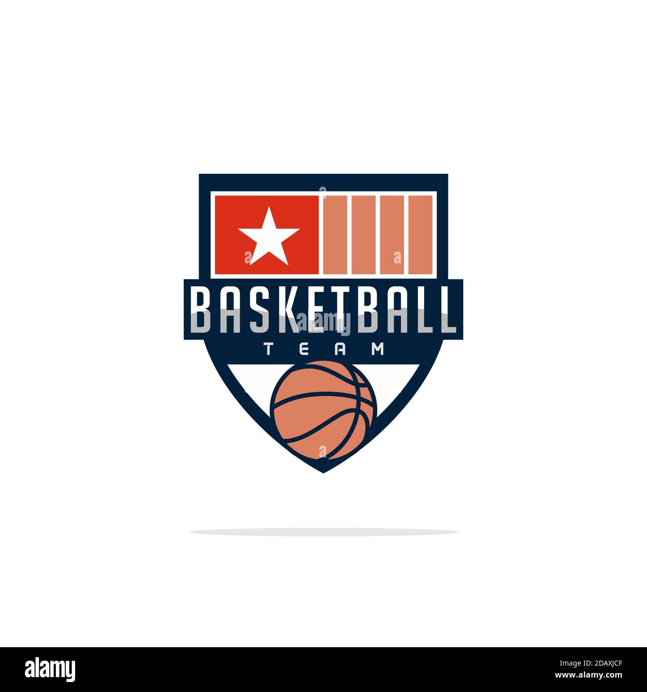 Modern professional vector logo for a basketball team Stock Vector ...