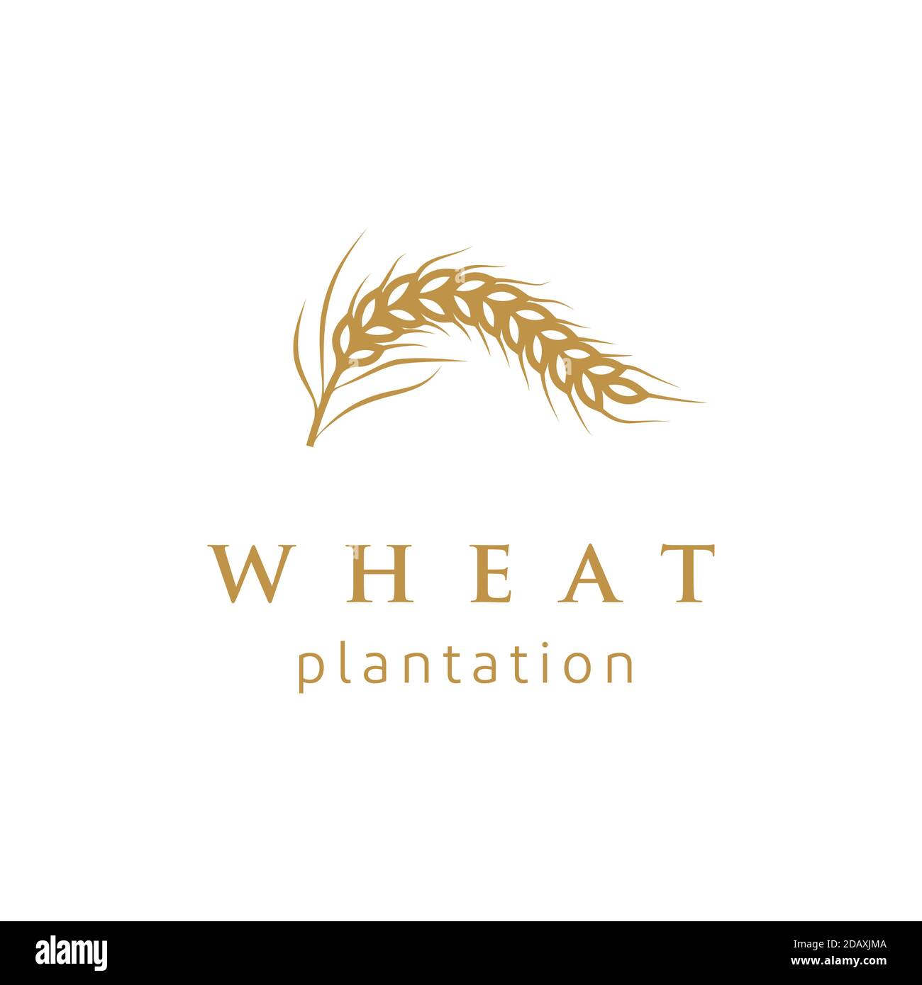Luxury Golden Grain Wheat / Rice Logo Design Stock Vector Image & Art ...