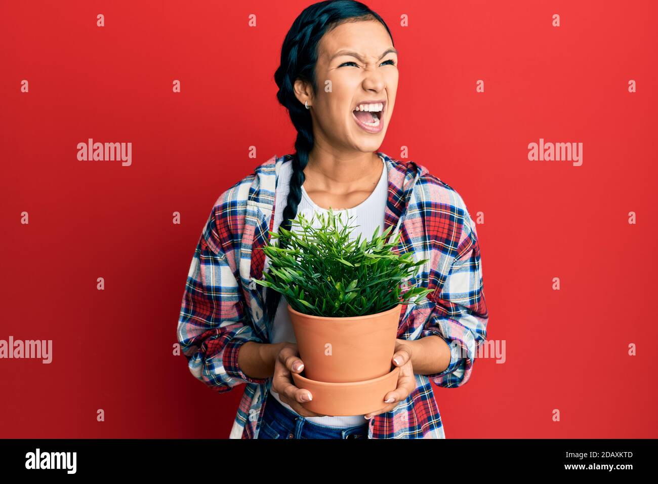 Beautiful hispanic woman wearing gardener shirt holding plant pot angry ...