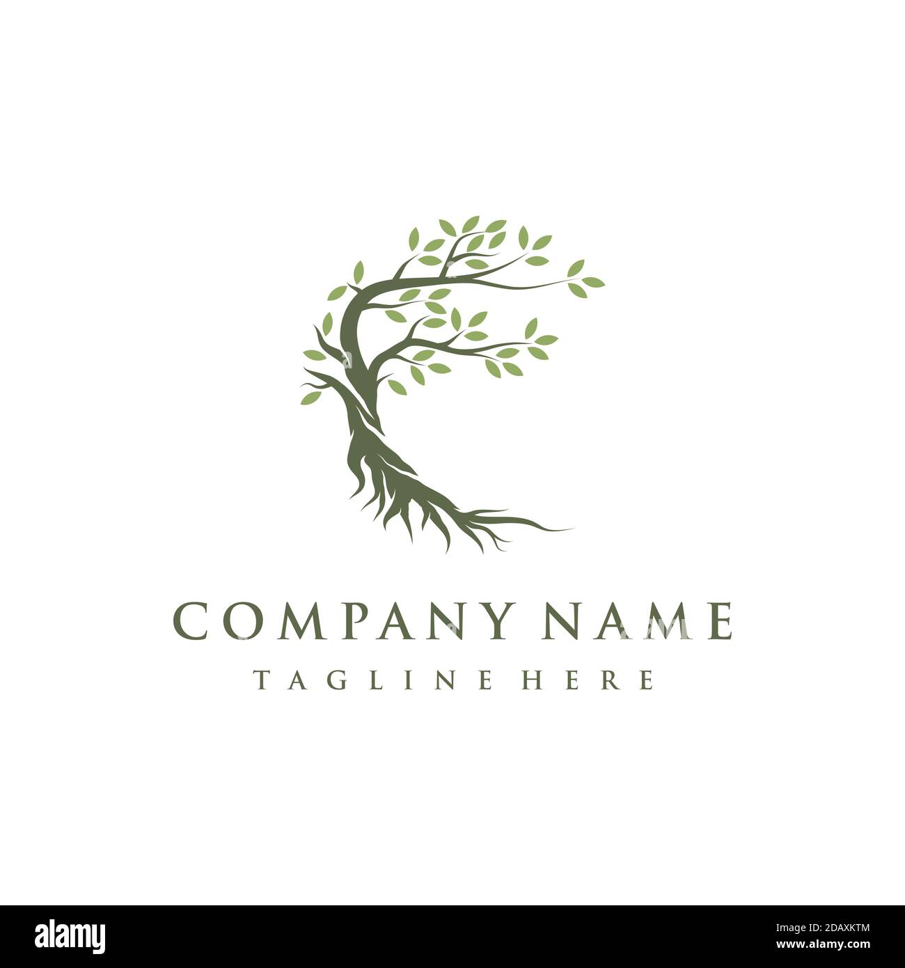 Tree Roots Logo