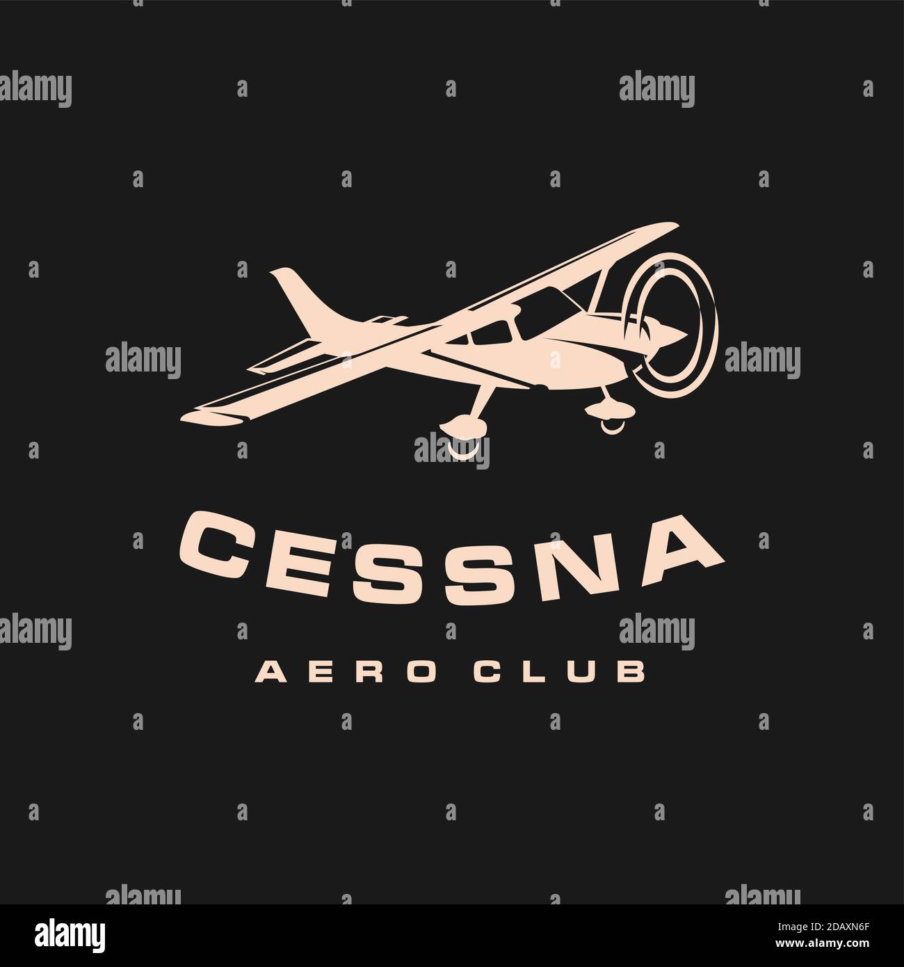 Cockpit cessna light aircraft Stock Vector Images - Alamy
