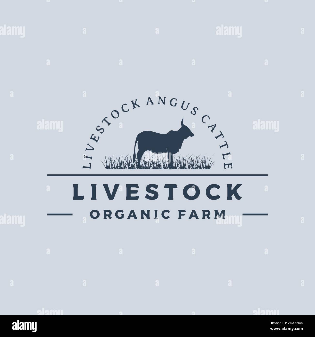 Vintage Cattle Angus Beef Meat Label logo design Stock Vector Image & Art - Alamy