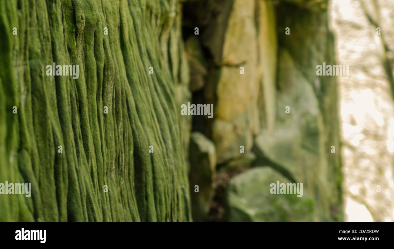 detail of sandstone rocks in forest Stock Photo - Alamy