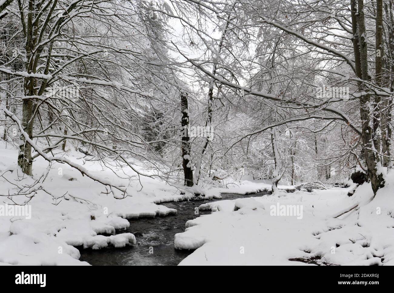 Amazing winter landscape with a small stream of water flowing through ...