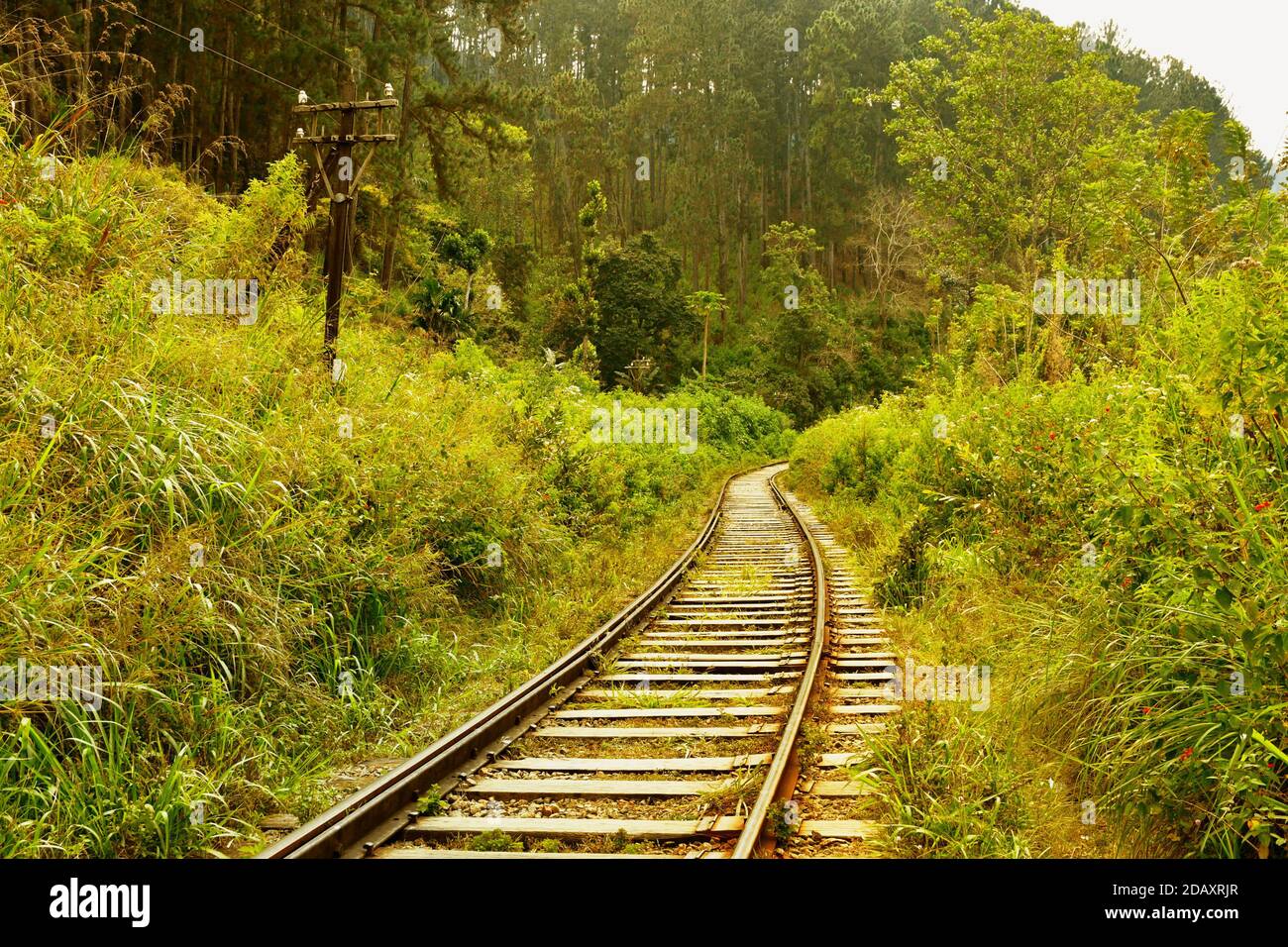 Railway tracks in sri lanka Stock Photo - Alamy