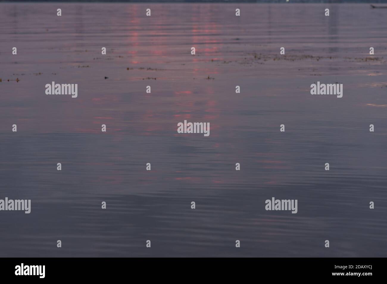 Water surface of gradient blue and pink color. River or sea water ...