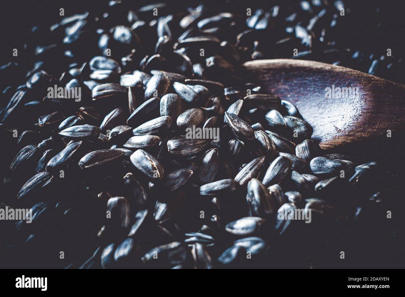 Sunflower seeds fried in pan hi-res stock photography and images - Alamy