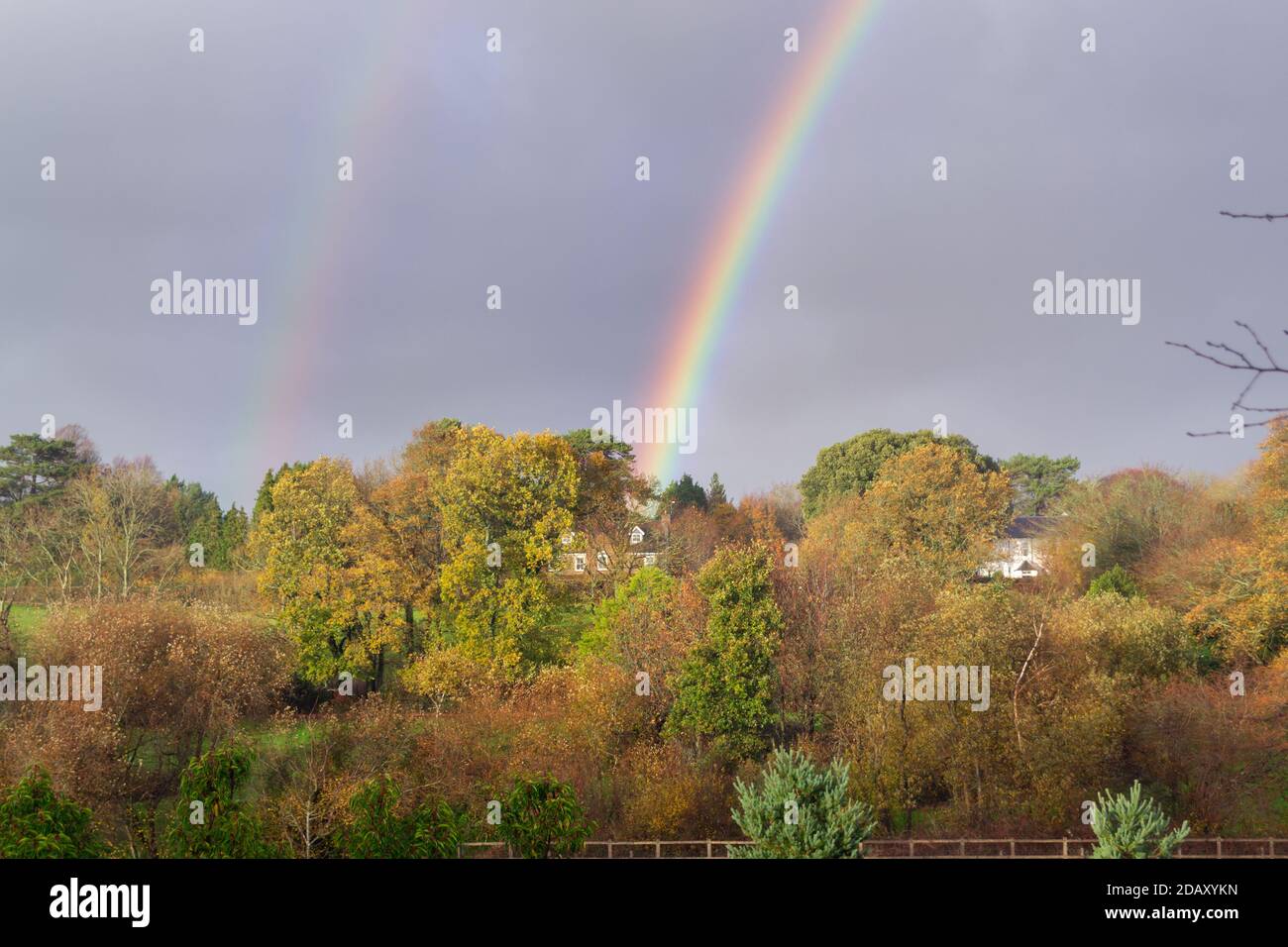 Double rainbows shining over trees with autumn colours Stock Photo - Alamy