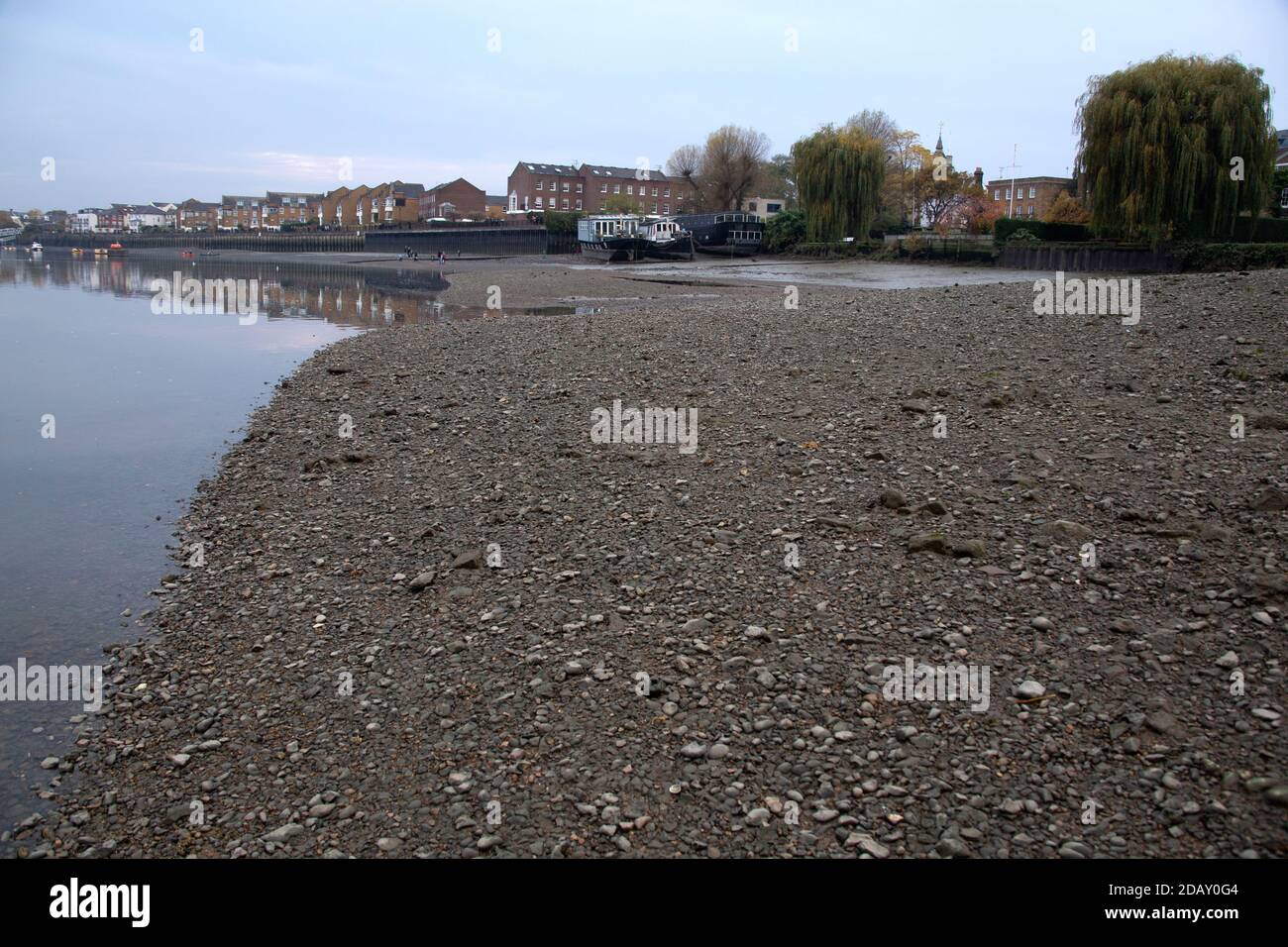 Very low tide at Chiswick Mall, allowing people to walk on the shore ...