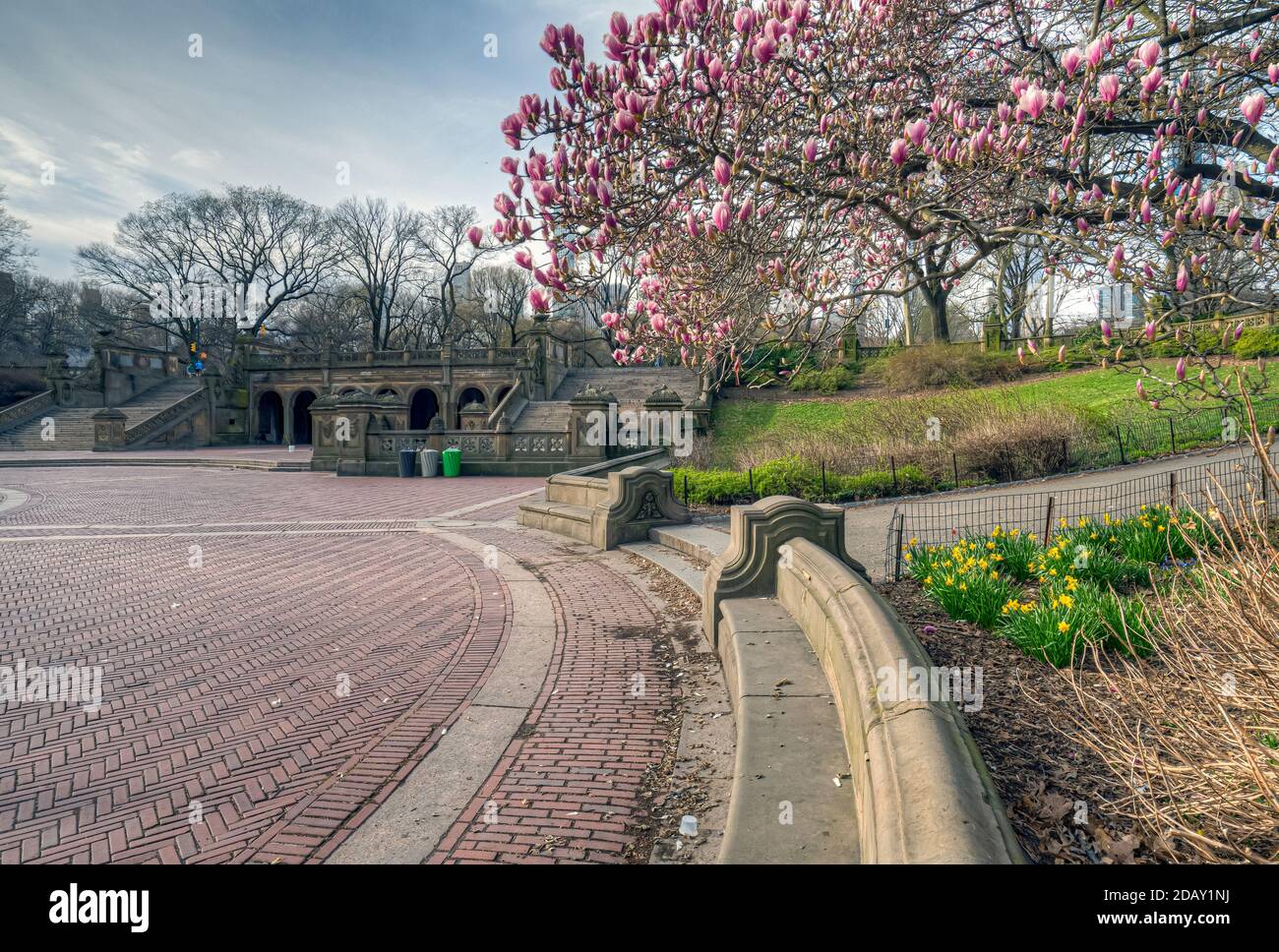Spring in Central Park, New York City Stock Photo - Alamy