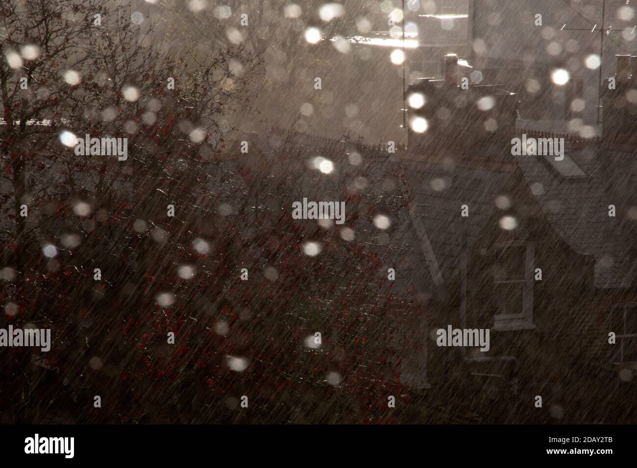 Heavy rain falling on suburban houses through raindrop spattered window ...