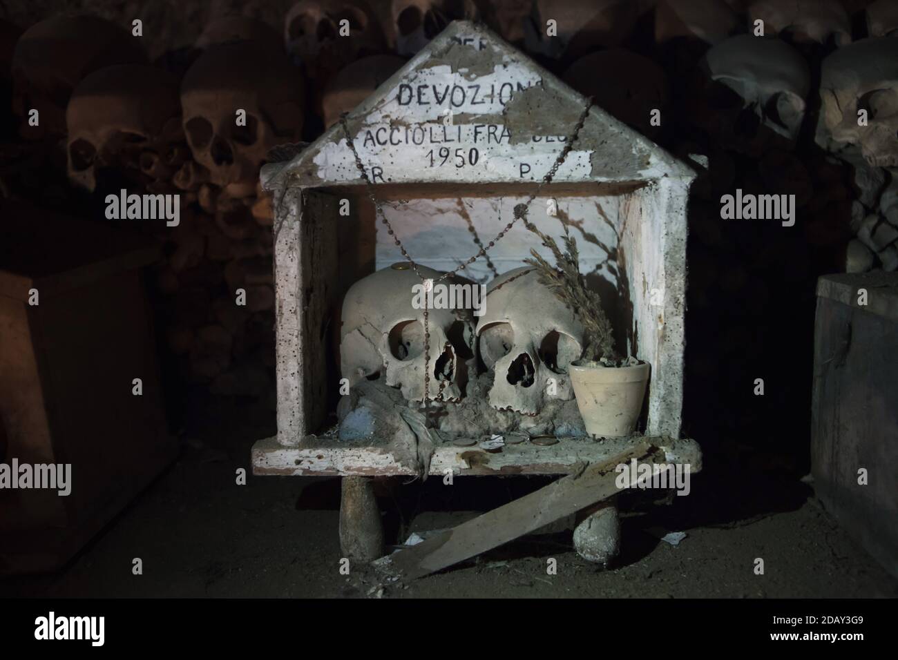 Boxed human skulls at the Fontanelle Cemetery (Cimitero delle ...