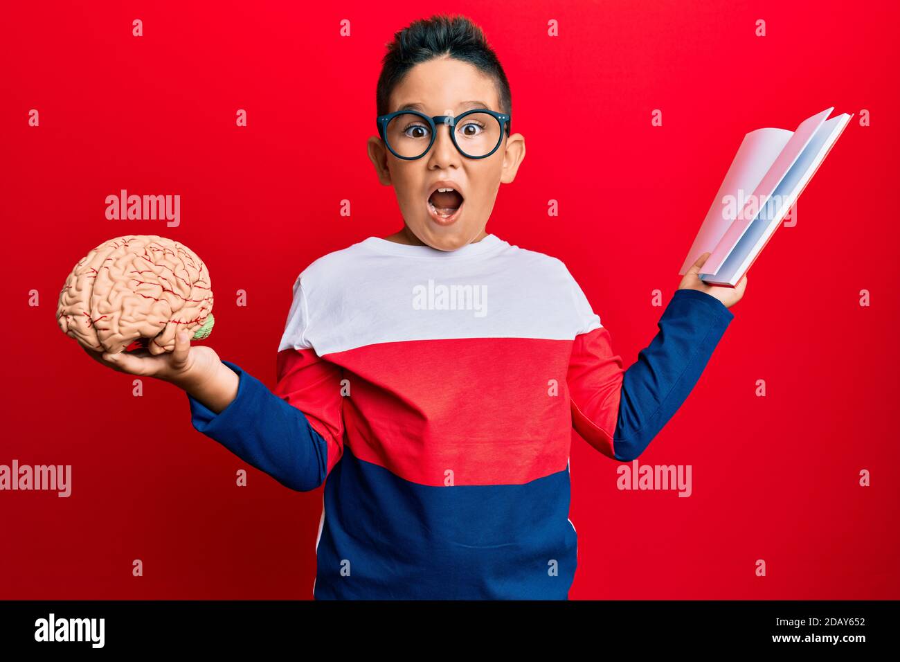 Little boy hispanic kid holding brain studying for school celebrating ...
