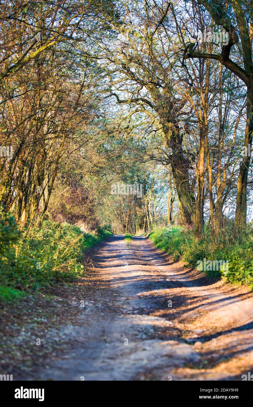 Sunset above cart road hi-res stock photography and images - Alamy
