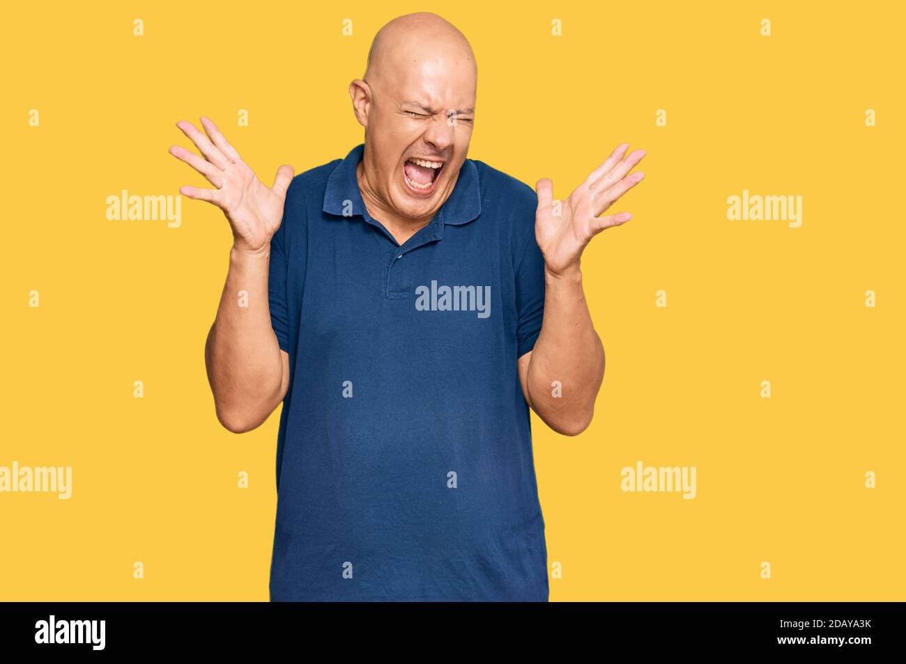 Middle age bald man wearing casual clothes celebrating mad and crazy ...