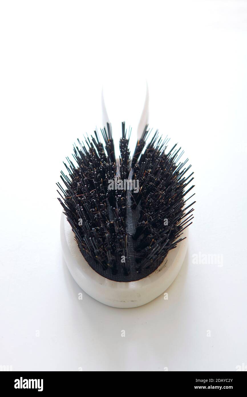 A studio photo ofa hair brush Stock Photo - Alamy