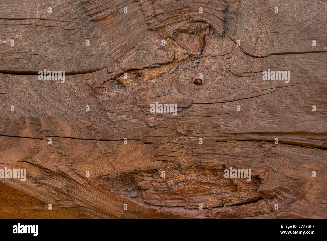 Wood texture surface with old natural pattern. Untreated natural wooden ...