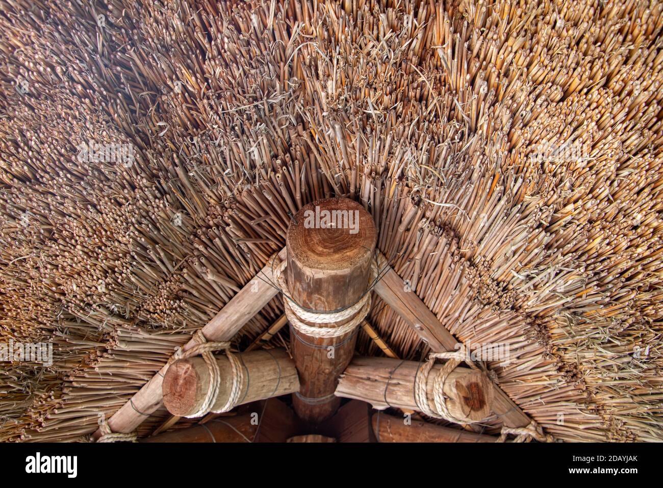 Japanese traditional thatch roof house, close up. The detail of the ...