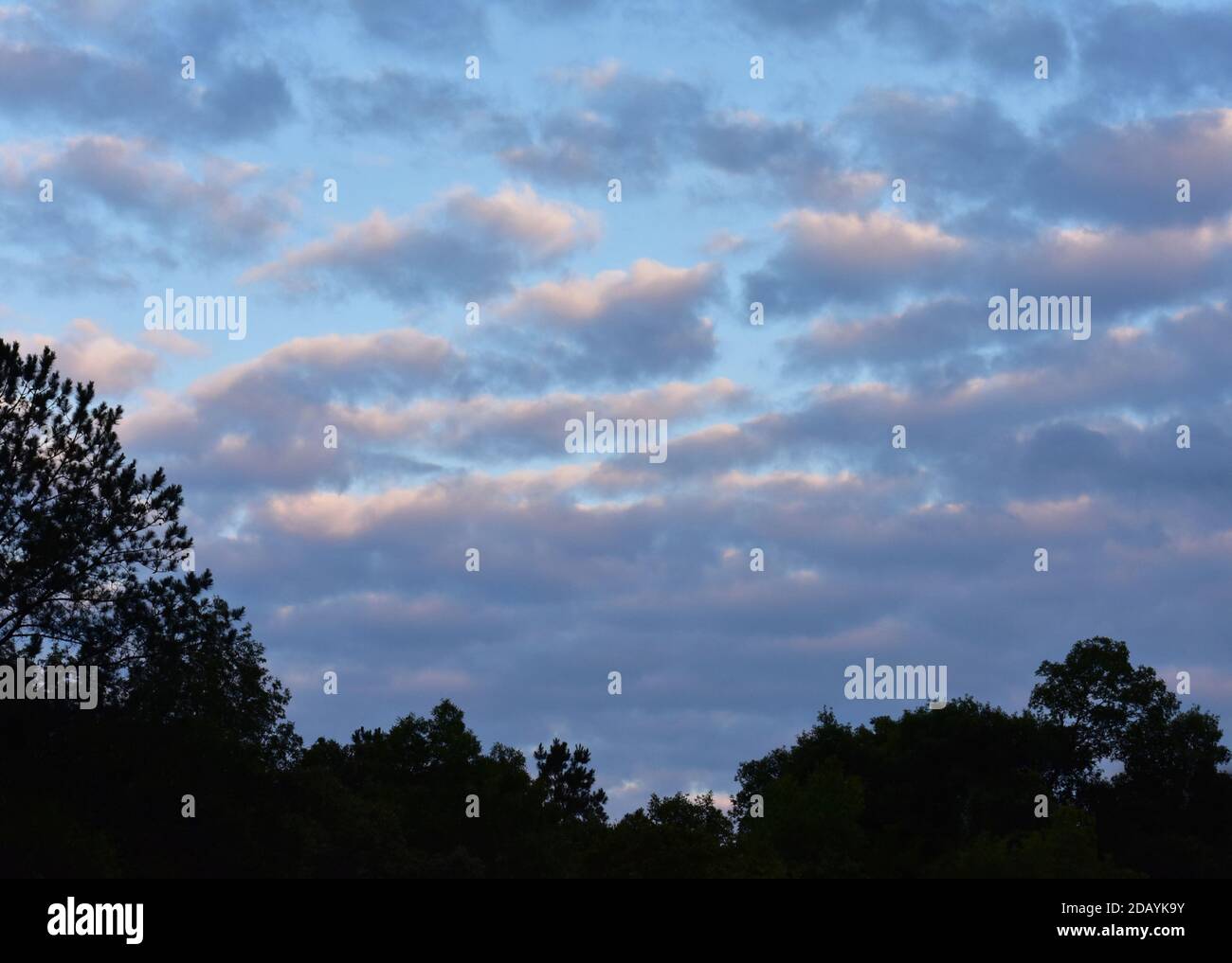 Cloudy sky with trees hi-res stock photography and images - Alamy