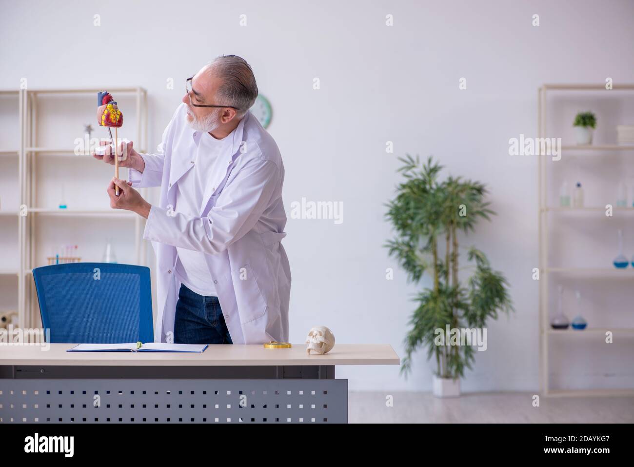 Old cardiologist explaining human heart structure Stock Photo - Alamy