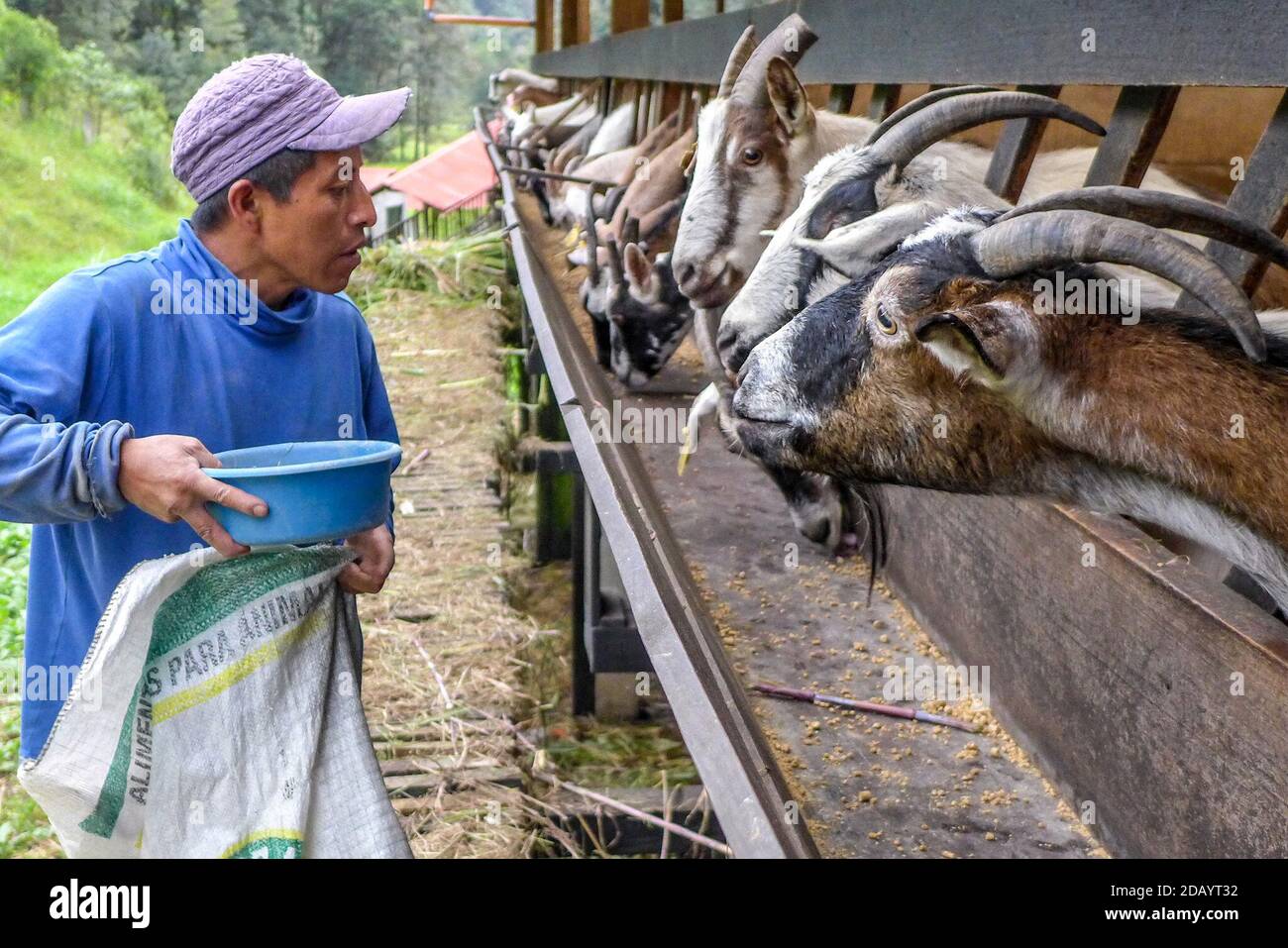 Centro de producción hi-res stock photography and images - Alamy
