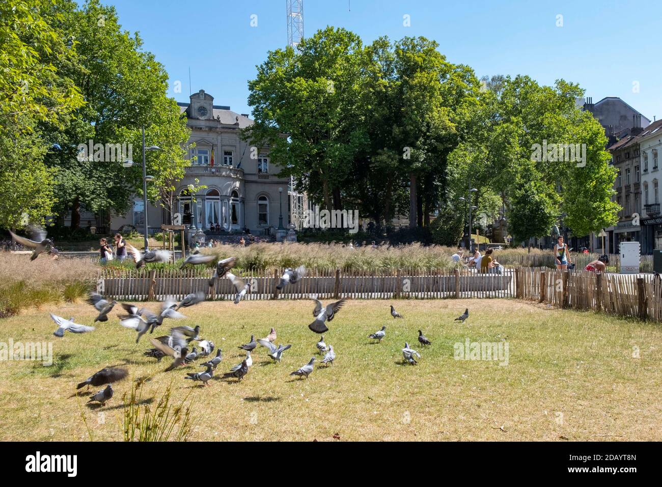 Illustration picture shows the Place Fernand Cocq - Fernand Cocqplein ...