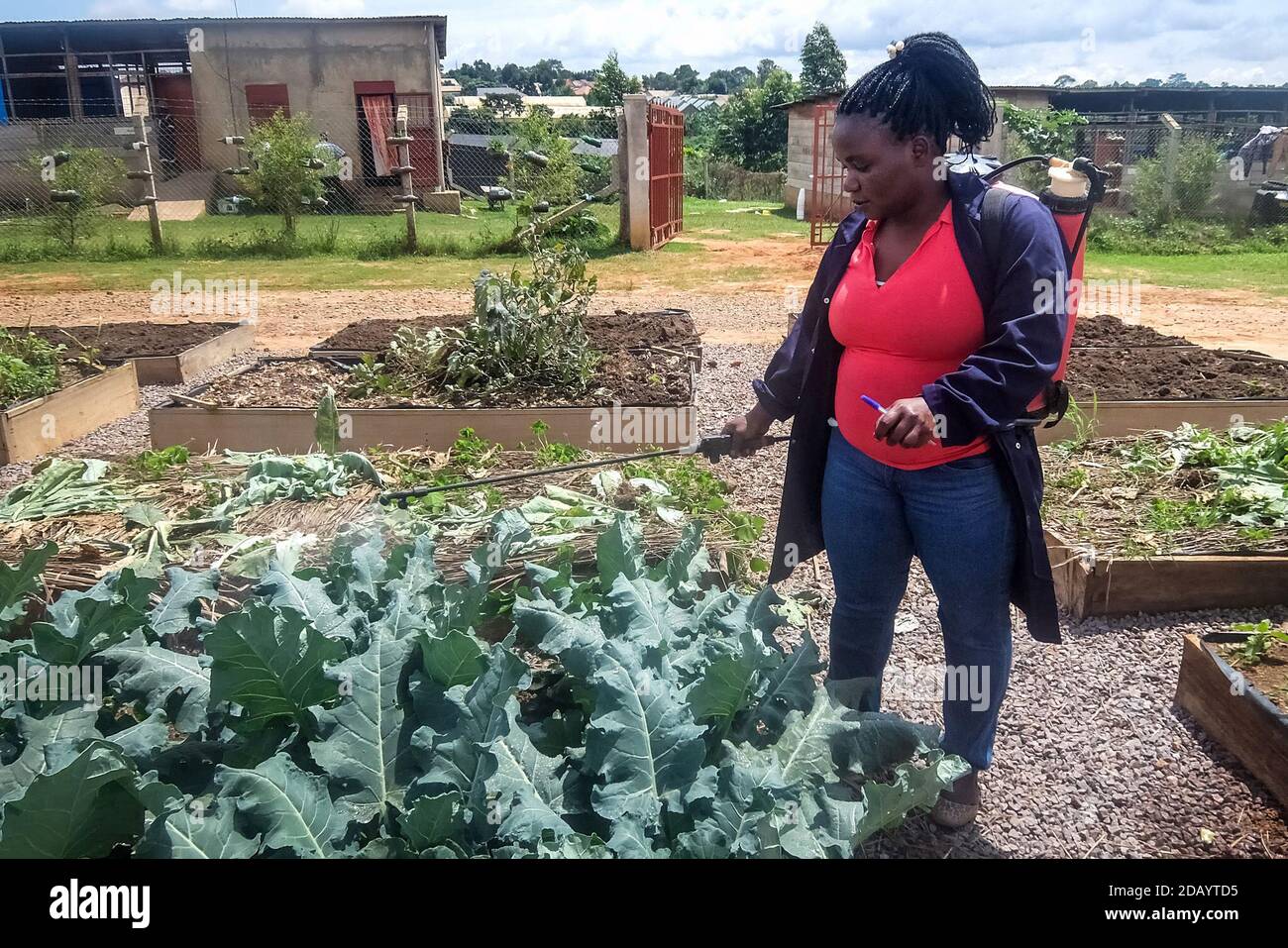 During a training session for farmers in Kawempe Division, an area of ...