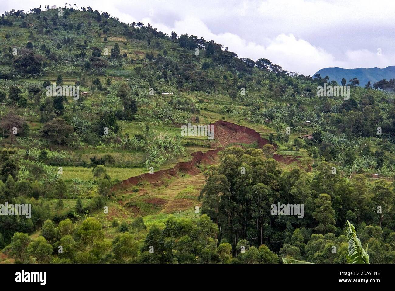 Bududa hi-res stock photography and images - Alamy