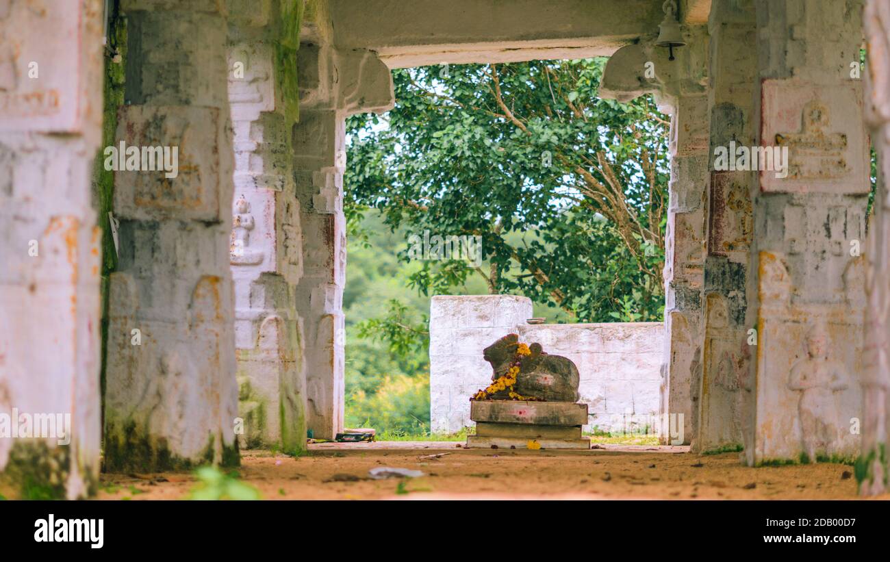 Maha Nandi in front of lord shiva temple Stock Photo - Alamy