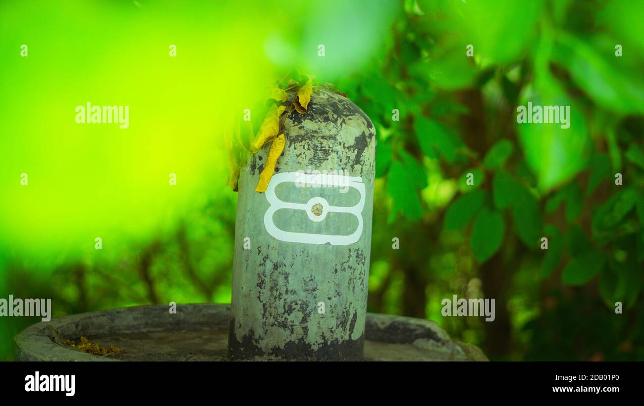 Shiva Lingam under the green leaves Stock Photo - Alamy