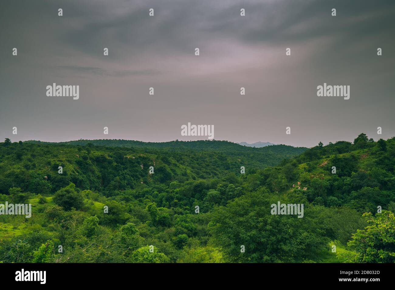 beautiful landscape view of forest from top view Stock Photo - Alamy