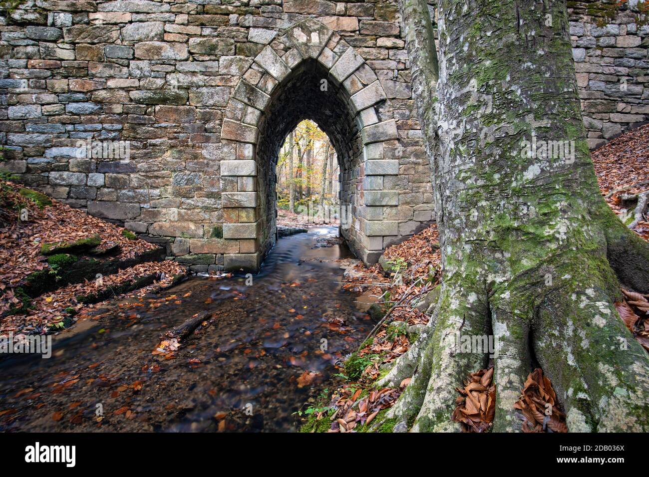 Poinsett Bridge over Little Gap Creek - Poinsett Bridge Heritage ...
