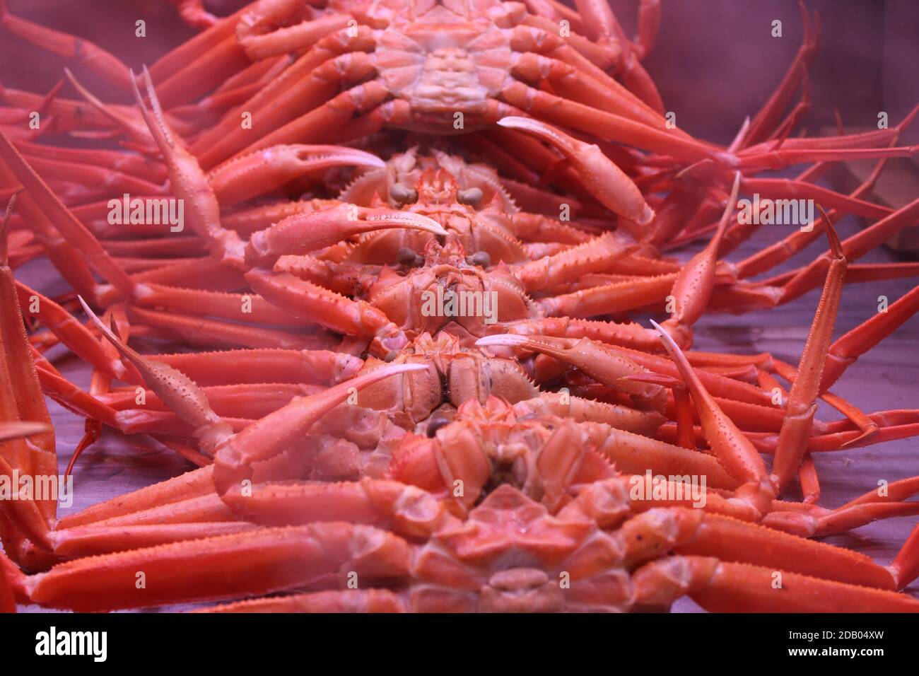 Seafood display crabs hi-res stock photography and images - Alamy
