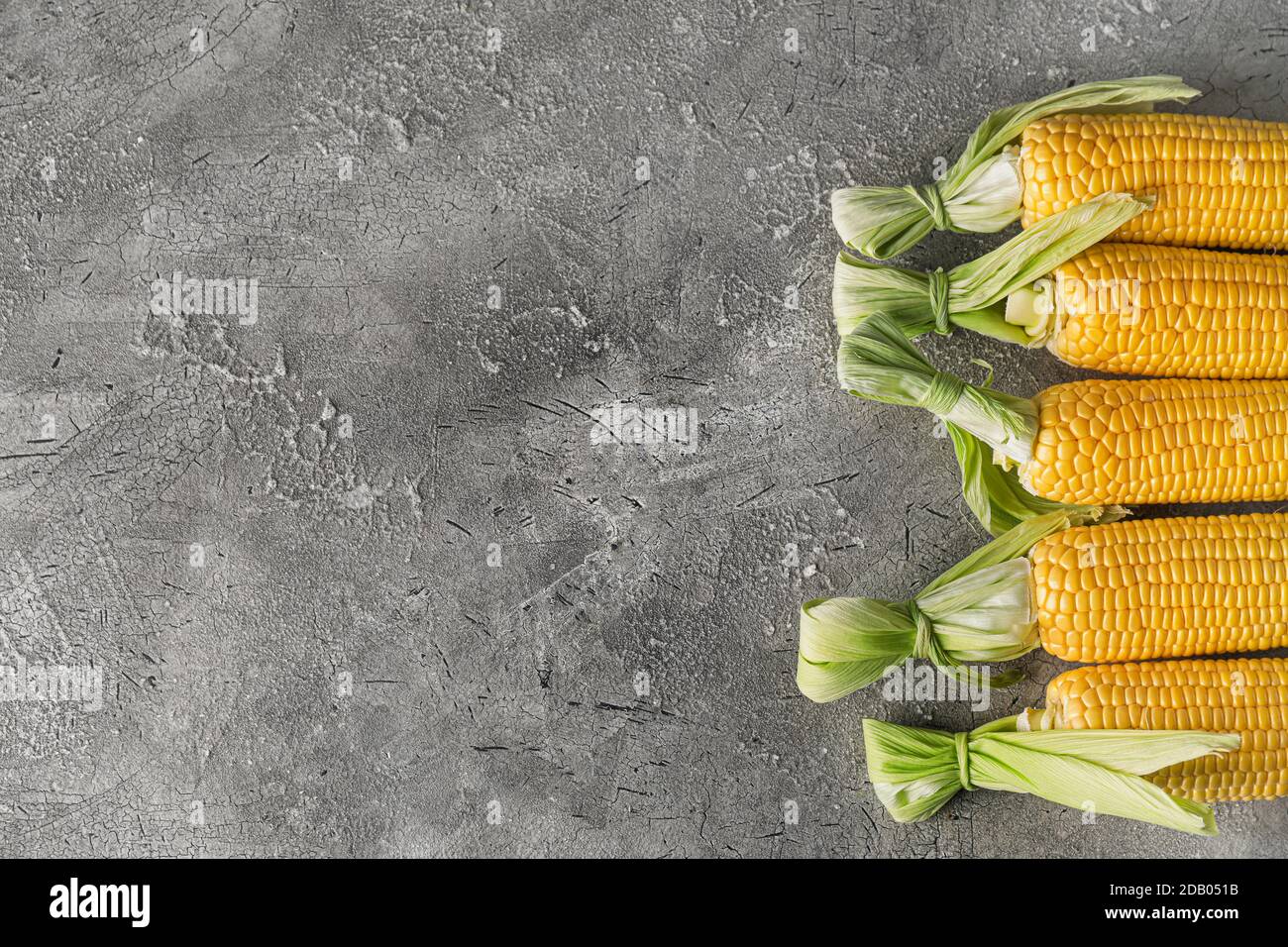 Fresh corn cobs on grey background Stock Photo - Alamy