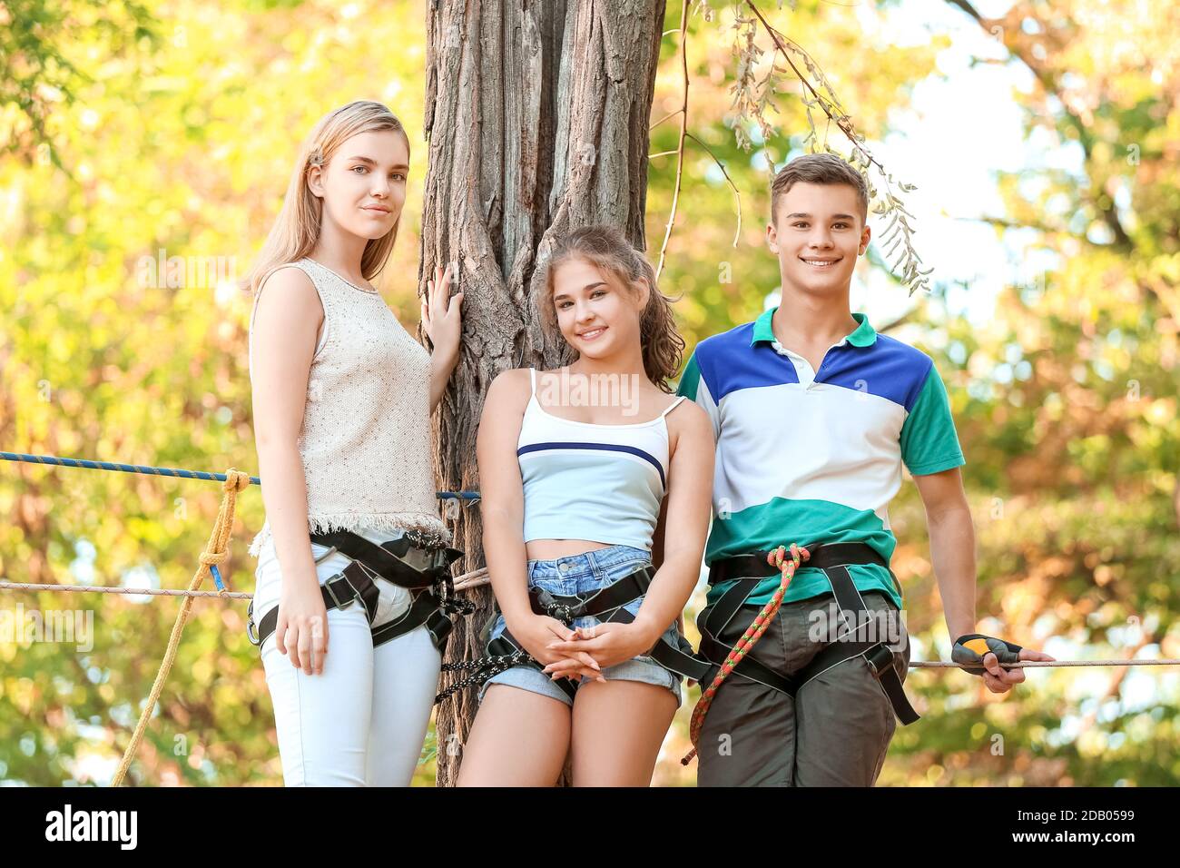 Teenagers climbing in adventure park Stock Photo - Alamy