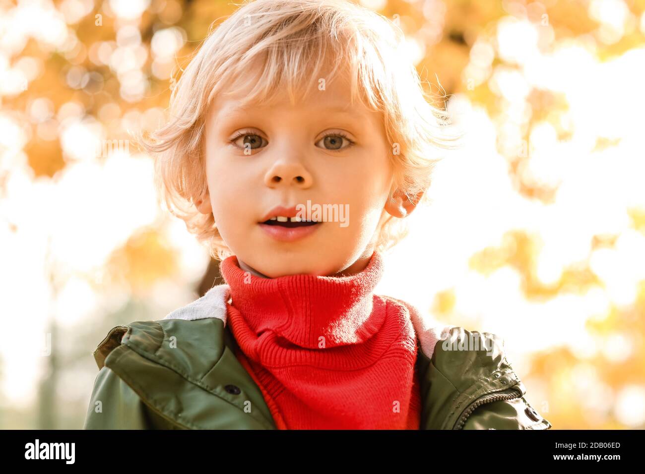Cute little boy in autumn park Stock Photo - Alamy