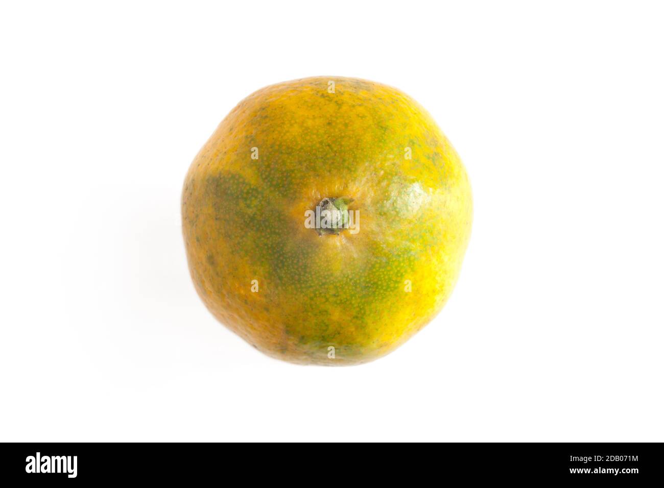 Japanese orange, mikan, isolated on white background Stock Photo - Alamy