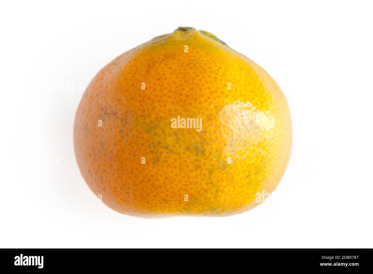 Japanese orange, mikan, isolated on white background Stock Photo - Alamy