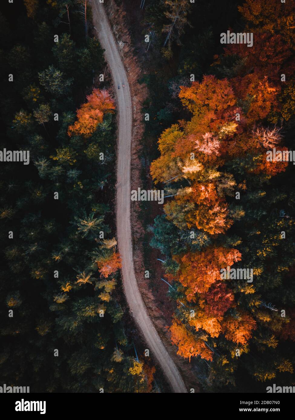 Aerial view of autumn forest Stock Photo - Alamy