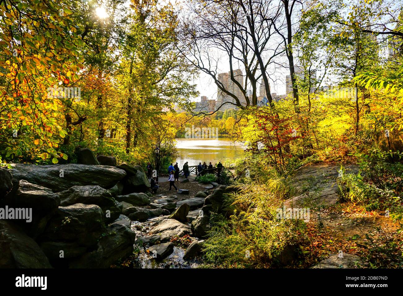 Central Park at the peak of the Autumn season in New York City with ...