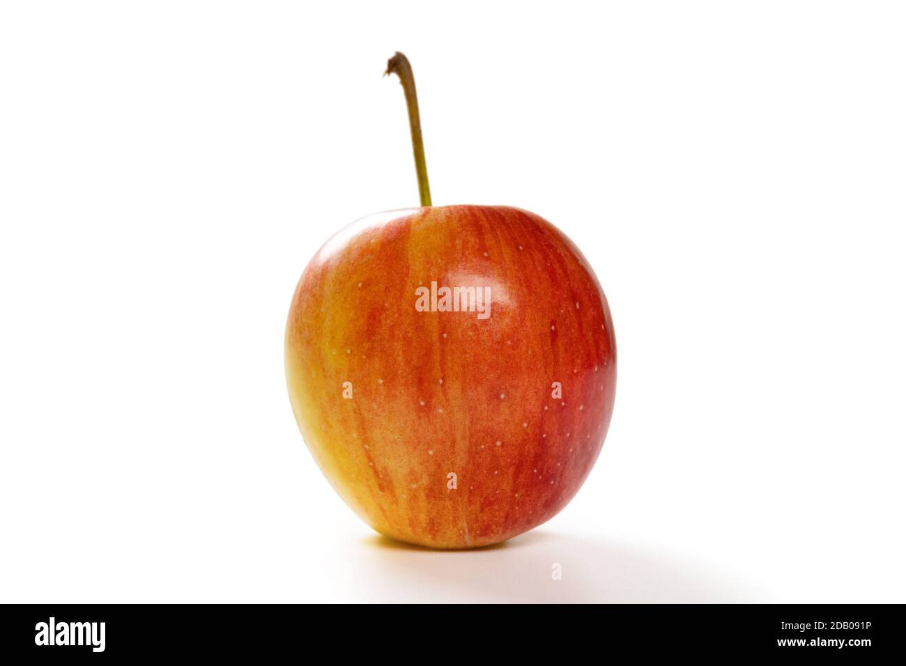 fresh apple on white background Stock Photo - Alamy