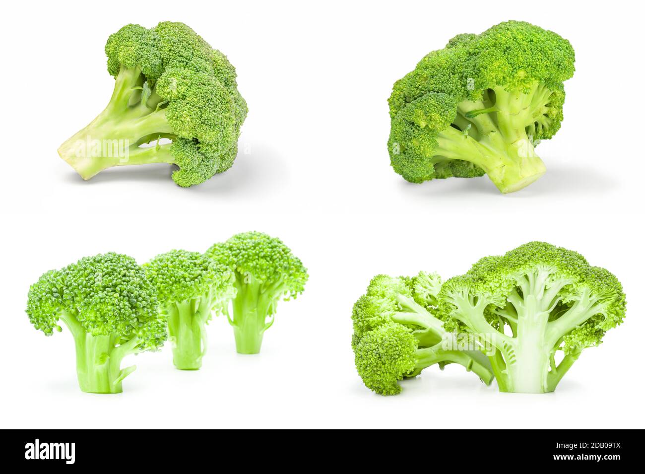 Group of fresh green broccoli over a white background Stock Photo - Alamy